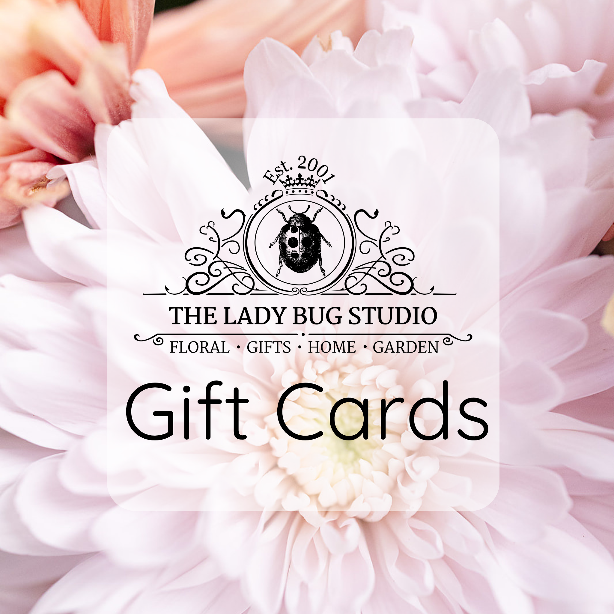 Gift Certificates | The Lady Bug Studio | Olds, Alberta